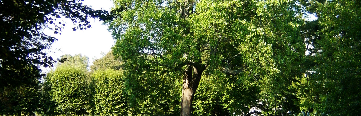 Arboretum - National Museum of American Illustration